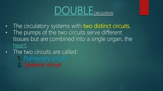 The Circulatory System in Humans | PPTX