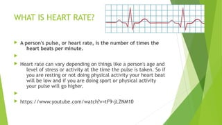 Heart rate | ODP
