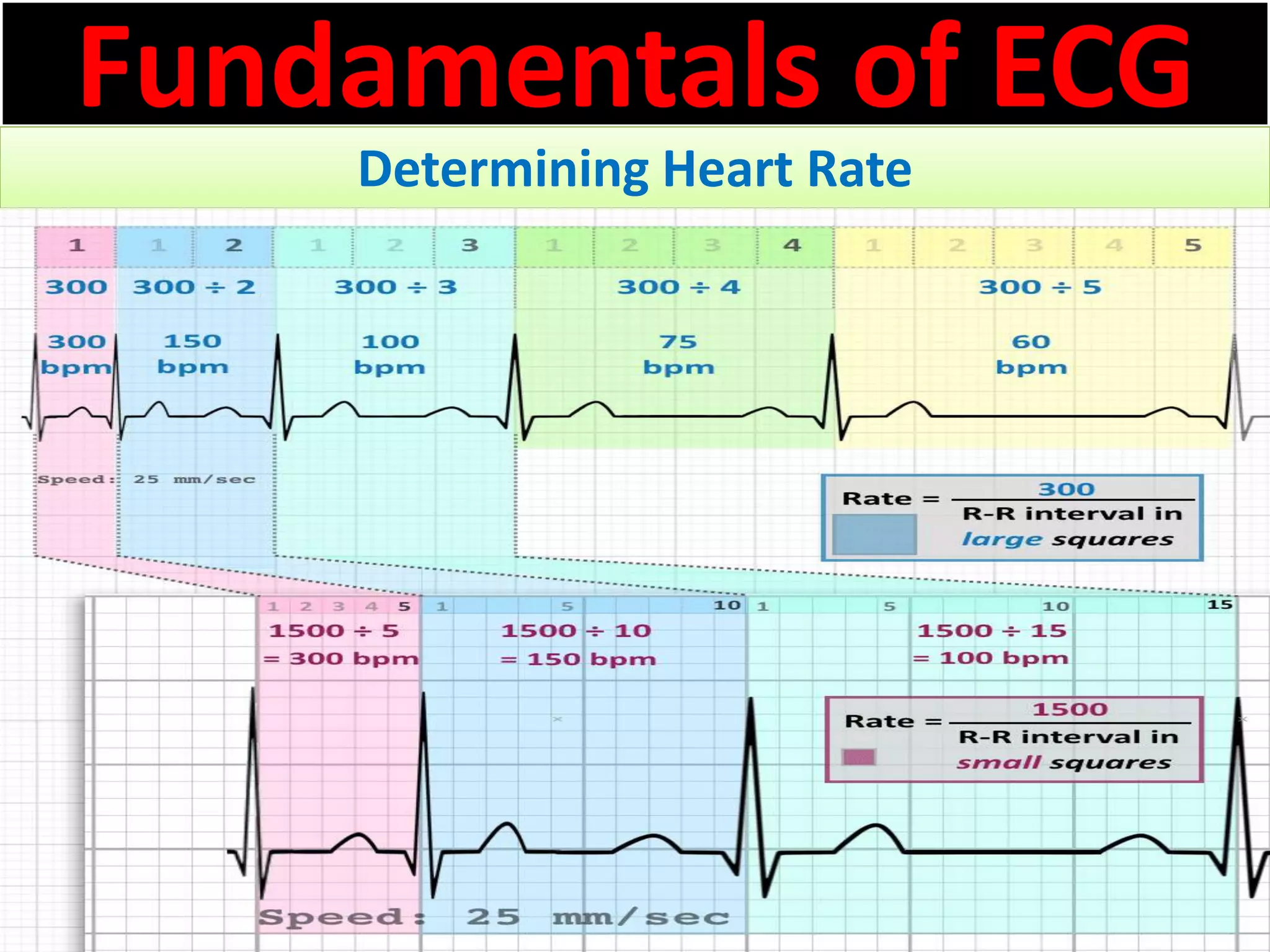Approach to a patient with Heart rate abnormality in ECG | PPSX