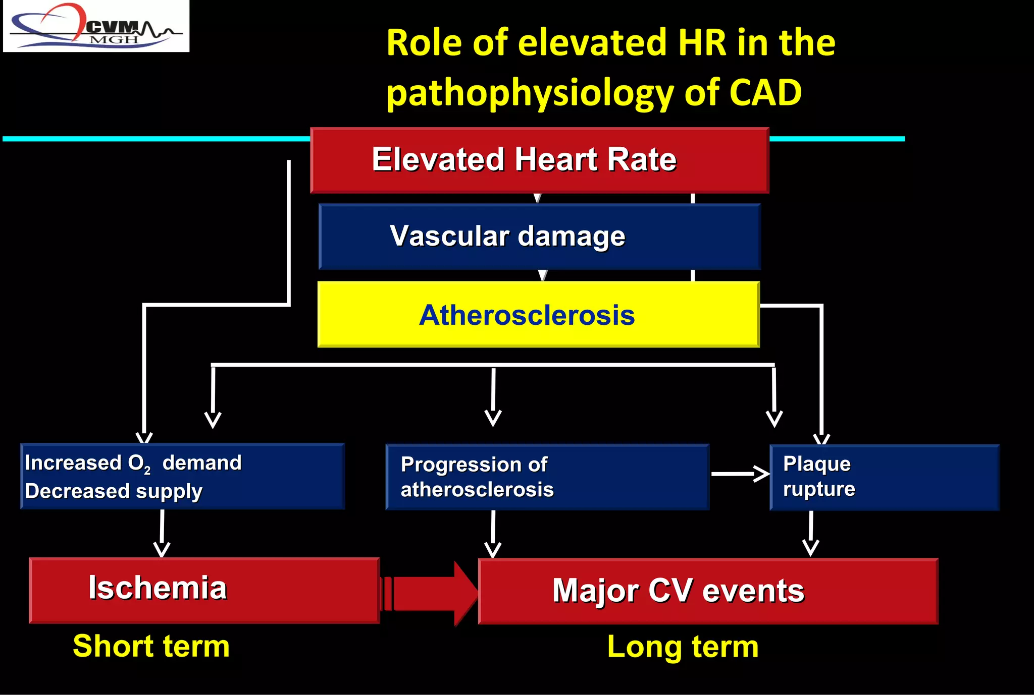 Heart rate a global target for cardiovascular disease and therapy along ...