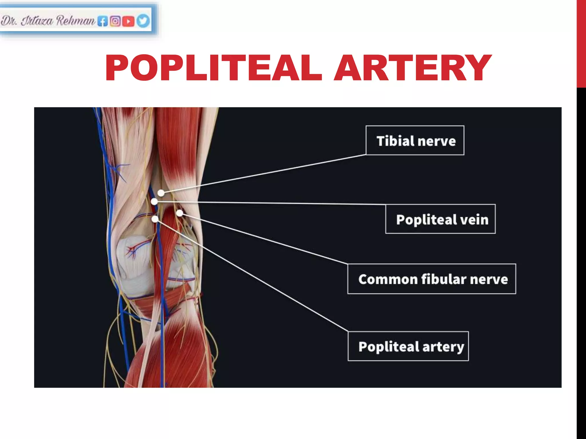 Heart rate calculation by Arterial Pulses.pptx
