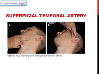 Superficial Temporal Artery Pulse