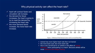 Heart rate investigation.pptx
