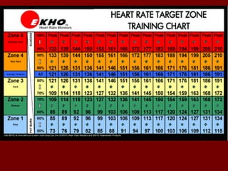 Heart Rate Powerpoint | PPT