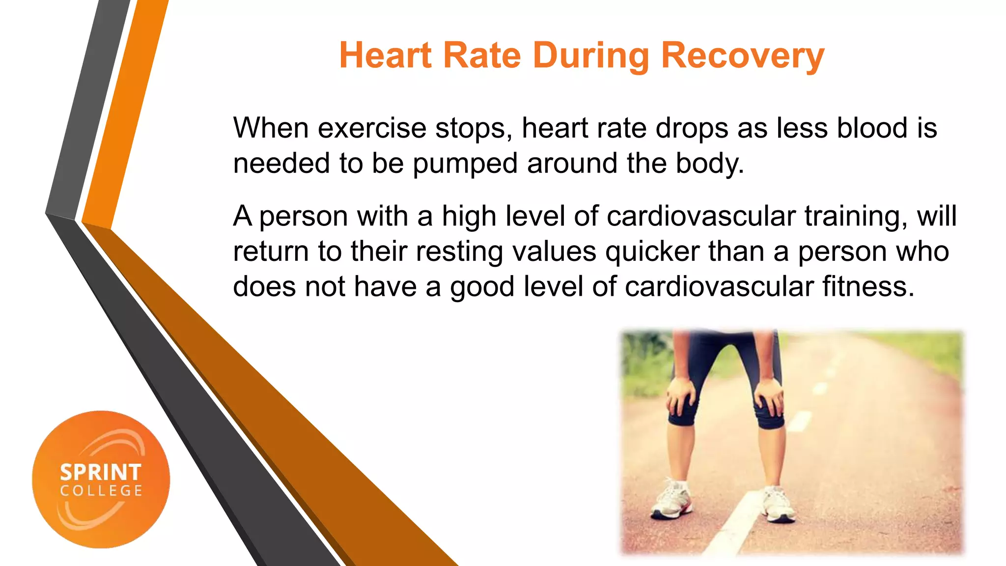 Heart rate response during exercise and heart rate monitors | PPT