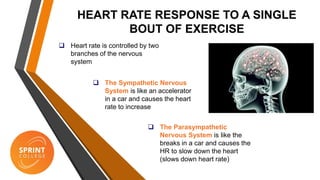 Heart rate response during exercise and heart rate monitors | PPT