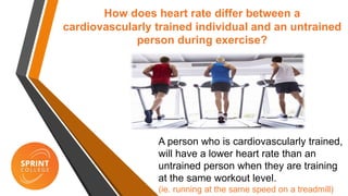 Heart rate response during exercise and heart rate monitors | PPT
