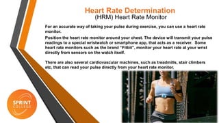 Heart rate response during exercise and heart rate monitors | PPT