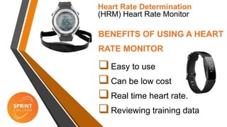 Heart rate response during exercise and heart rate monitors | PPTX