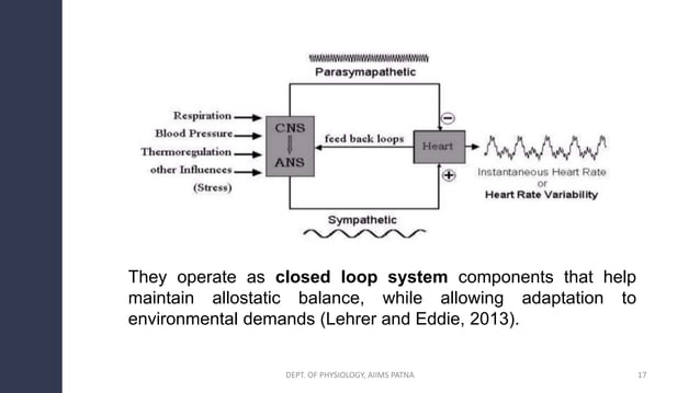 Principles and Methods of Heart Rate Variability Biofeedback | PPT