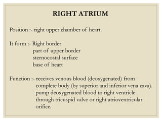 HEART & RIGHT ATRIUM - Hardik Saini.pptx