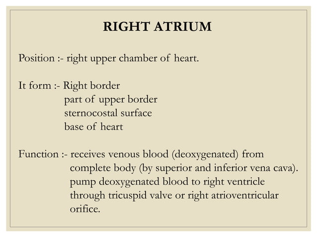 HEART & RIGHT ATRIUM - Hardik Saini.pptx