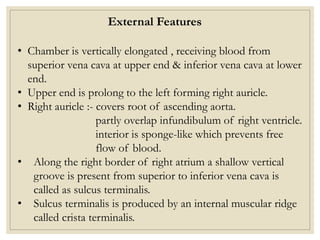 HEART & RIGHT ATRIUM - Hardik Saini.pptx