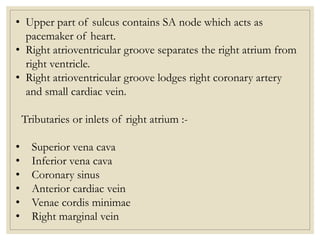 HEART & RIGHT ATRIUM - Hardik Saini.pptx