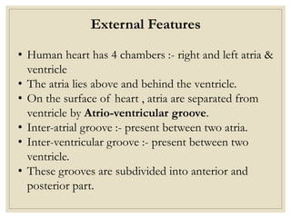 HEART & RIGHT ATRIUM - Hardik Saini.pptx