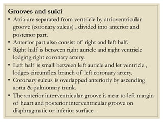 HEART & RIGHT ATRIUM - Hardik Saini.pptx