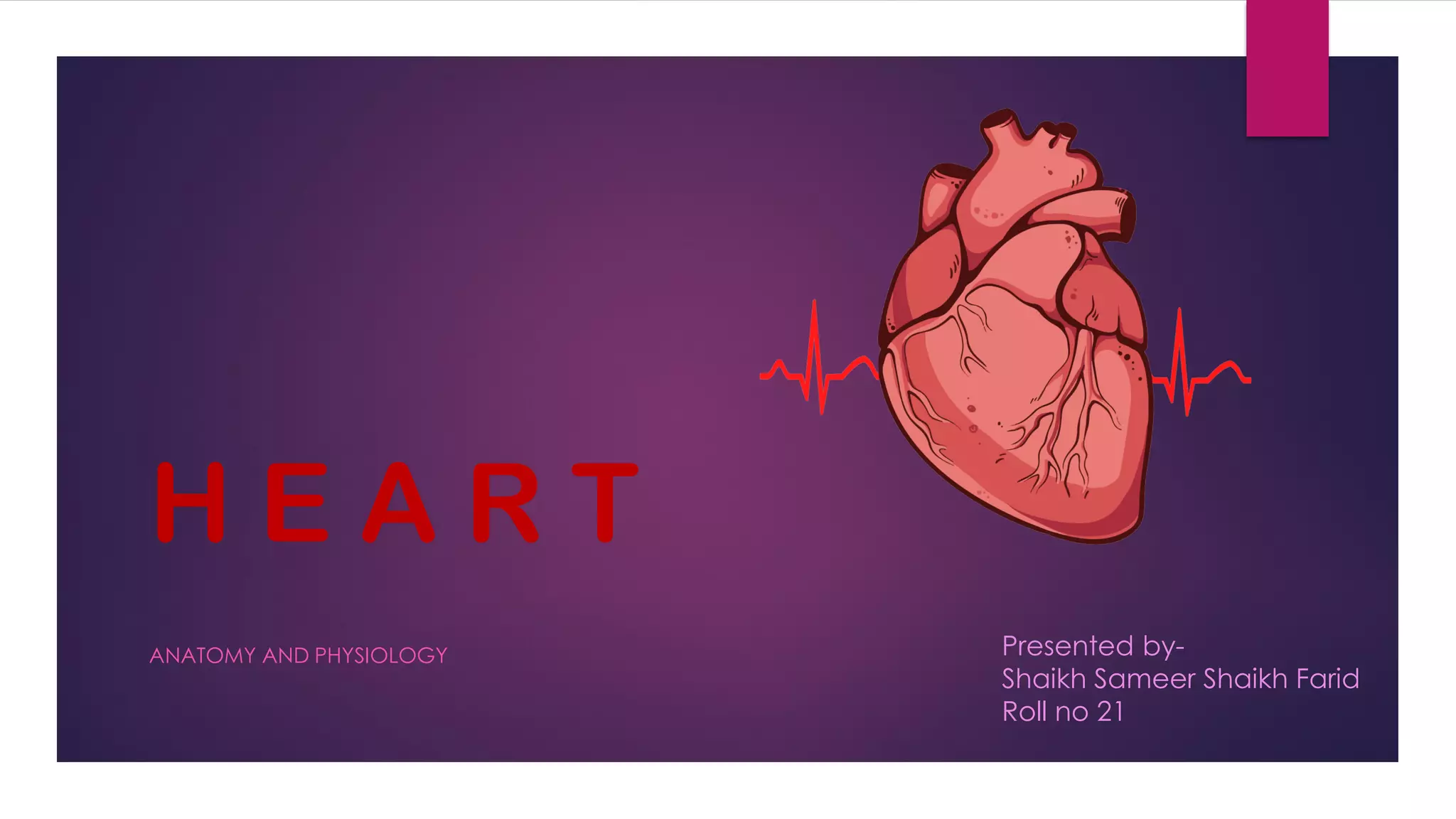 Heart Anatomy Shaikh Sameer Pharm D I year.pdf