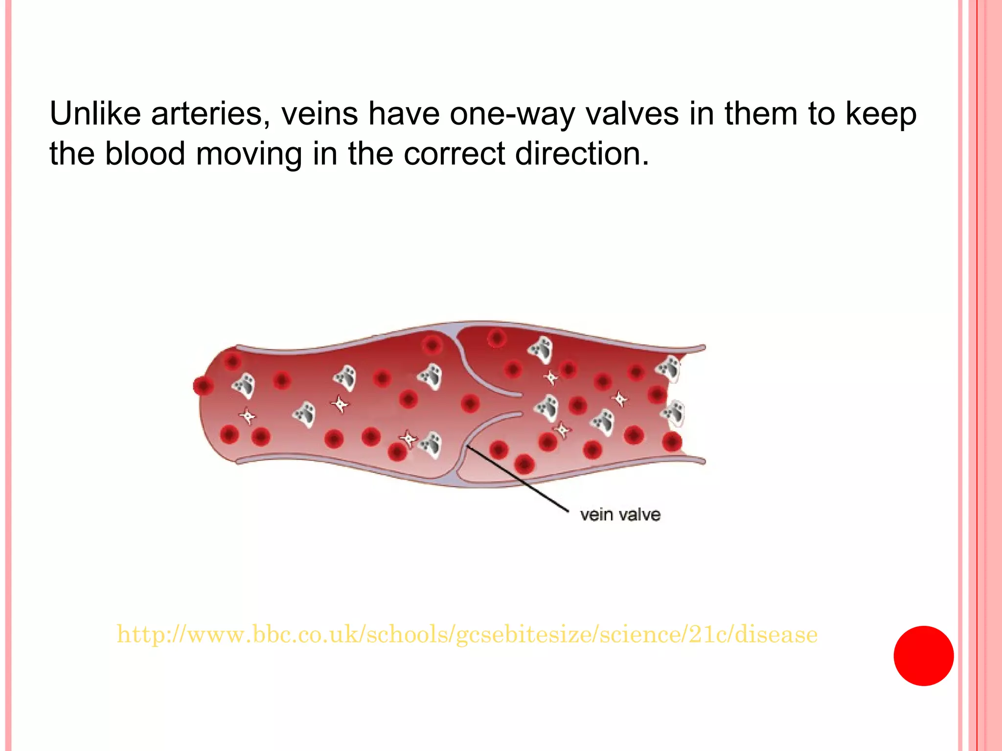 Heart lesson | PPT