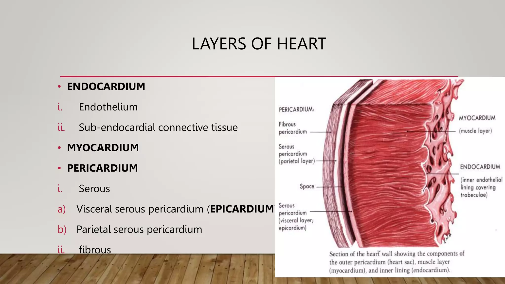 CONDUCTING SYSTEM OF HEART.pptx | Heart and Cardiovascular Diseases ...