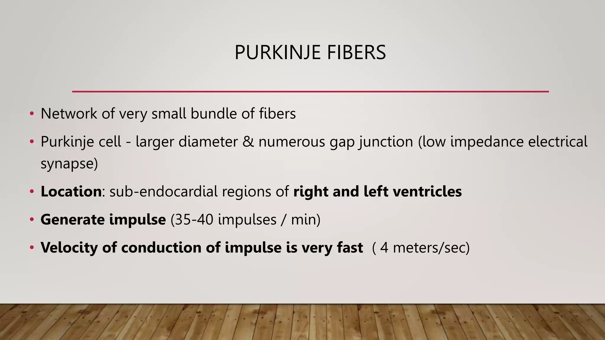 CONDUCTING SYSTEM OF HEART.pptx