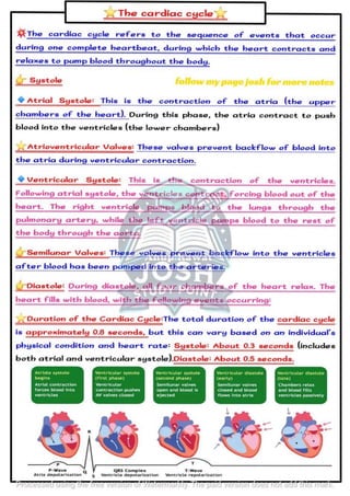 Heart internal organs short Note.pdf Jitendra bhargav SlideShare com | PDF
