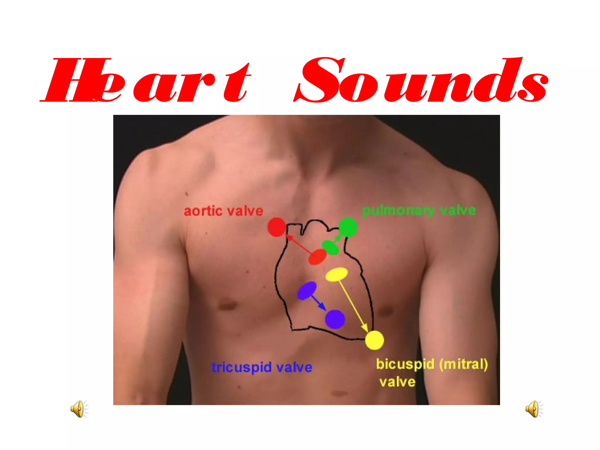 Heart Sounds | PPT | Heart and Cardiovascular Diseases | Diseases and ...