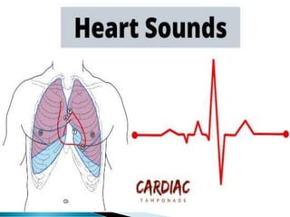 HEART SOUND.pdf