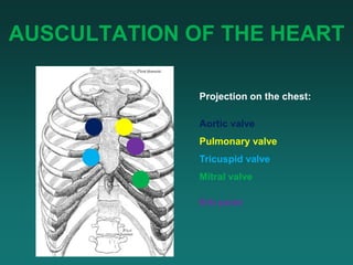 Heart sound auscultation.ppt