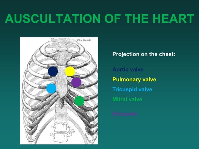 Heart sound auscultation.ppt