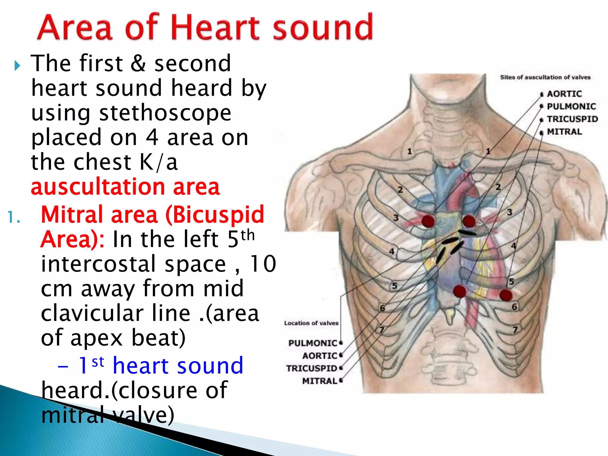 Heart sound by p r choudhary | PPTX | Heart and Cardiovascular Diseases ...