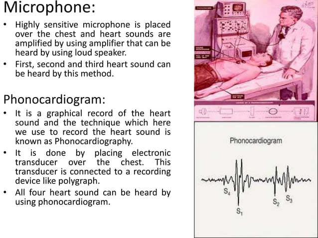 Heart sounds | PPTX | Digital Audio | Computer Software and Applications