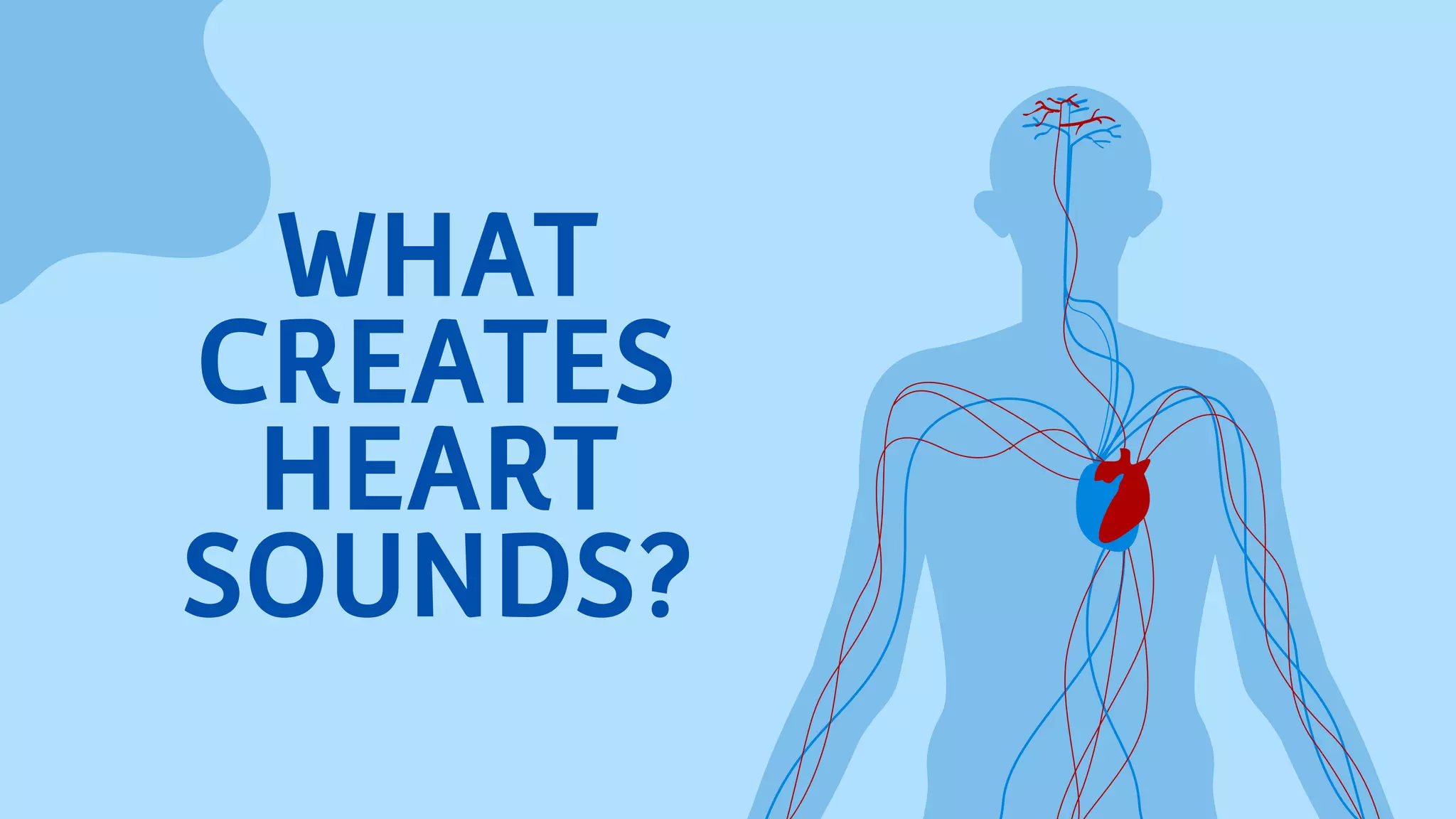 Heart Sounds.pptx | Heart and Cardiovascular Diseases | Diseases and ...