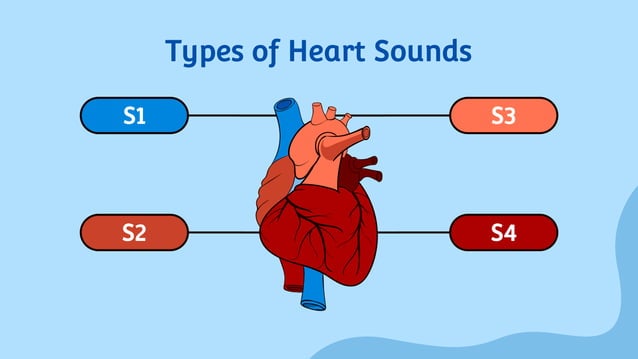Heart Sounds.pptx | Heart and Cardiovascular Diseases | Diseases and ...
