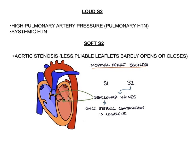 Heart sounds topic cardio vascular system | PDF | Heart and ...