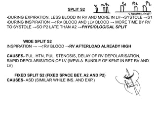 Heart sounds topic cardio vascular system | PDF | Heart and ...