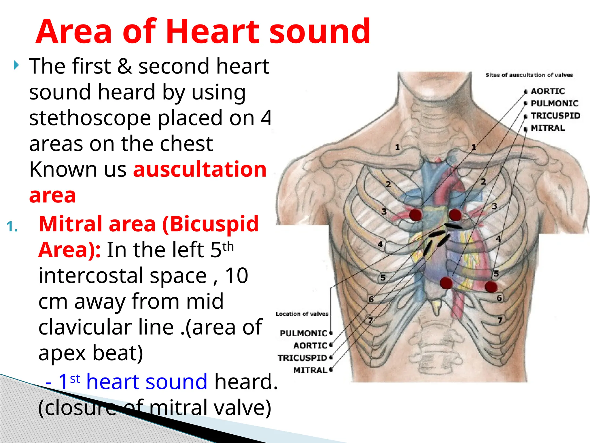 heart sounds. Various heart sounds with its interpretation pptx | PPTX