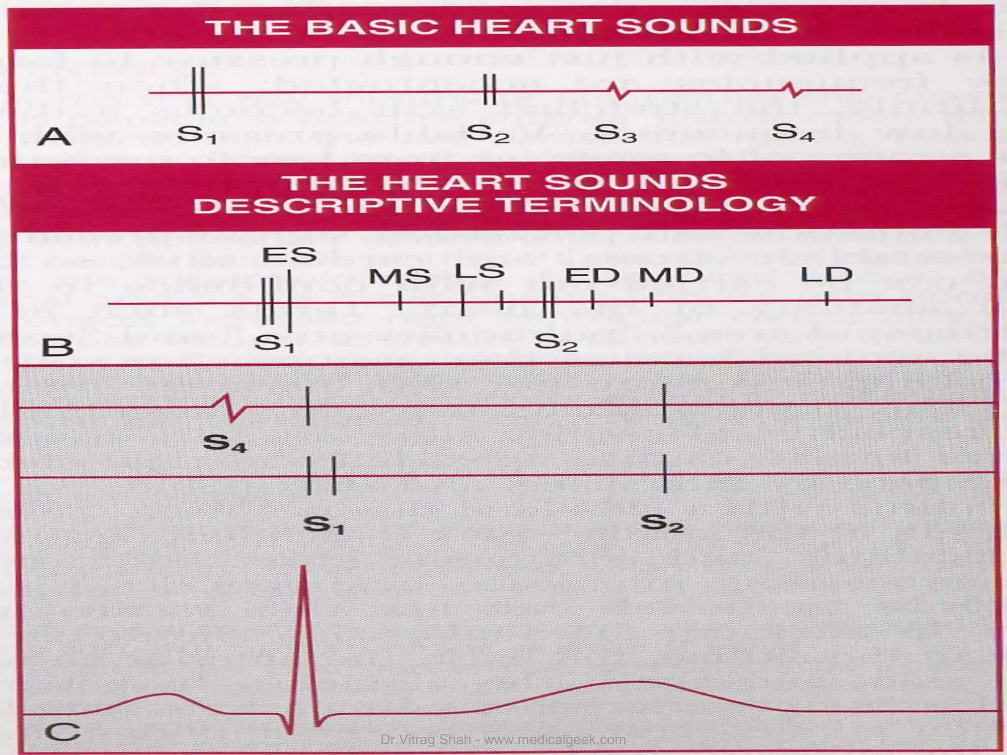 Heart sounds and murmur | PDF