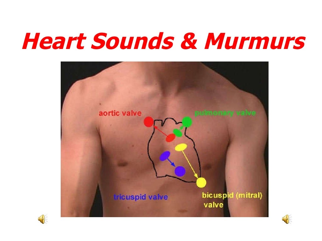 Heart Sounds And Murmurs