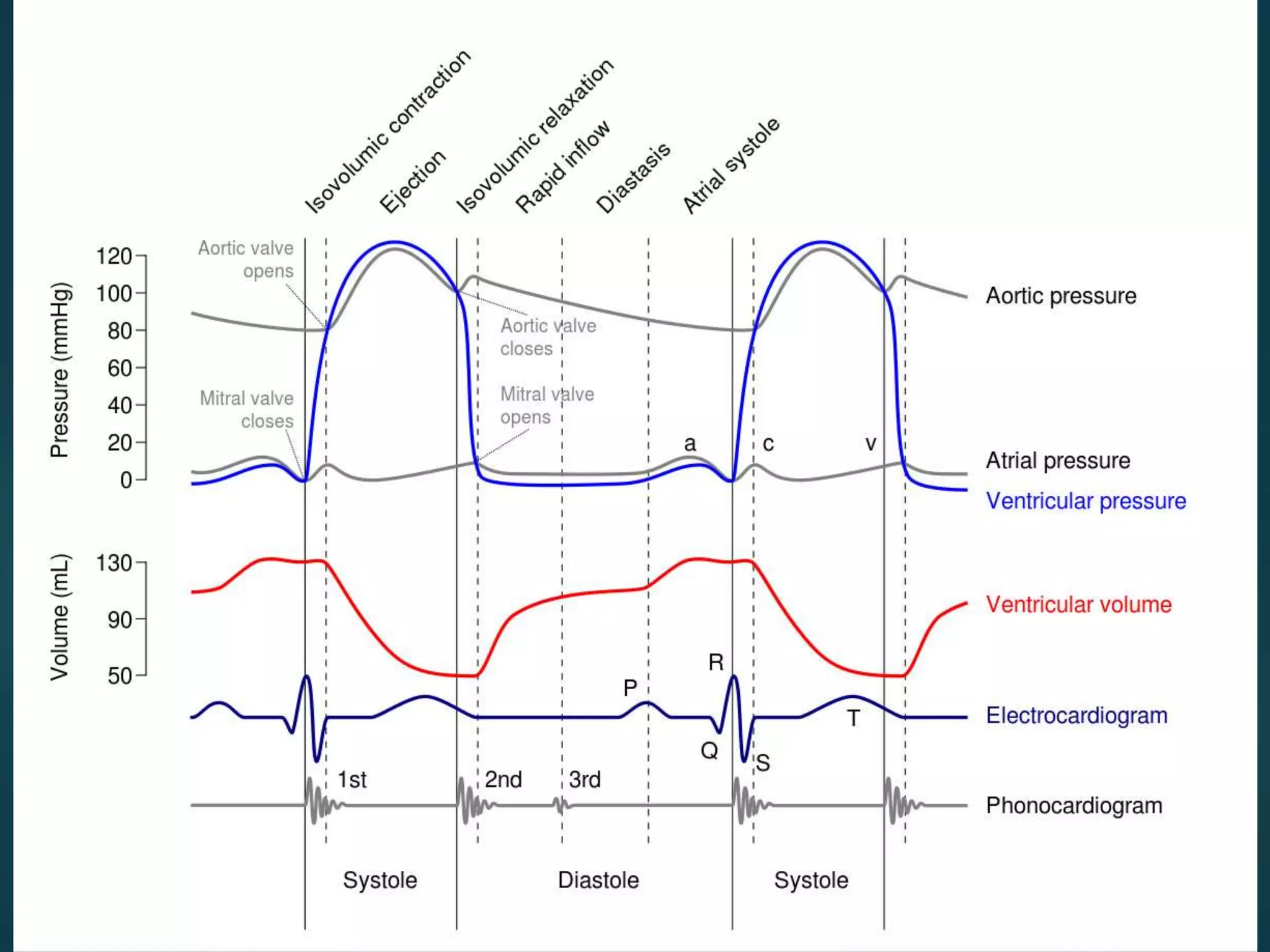 Heart Sounds And Pulse, Abnormalities; Physiology Y2B2.pptx