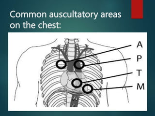 Heart Sounds And Pulse, Abnormalities; Physiology Y2B2.pptx