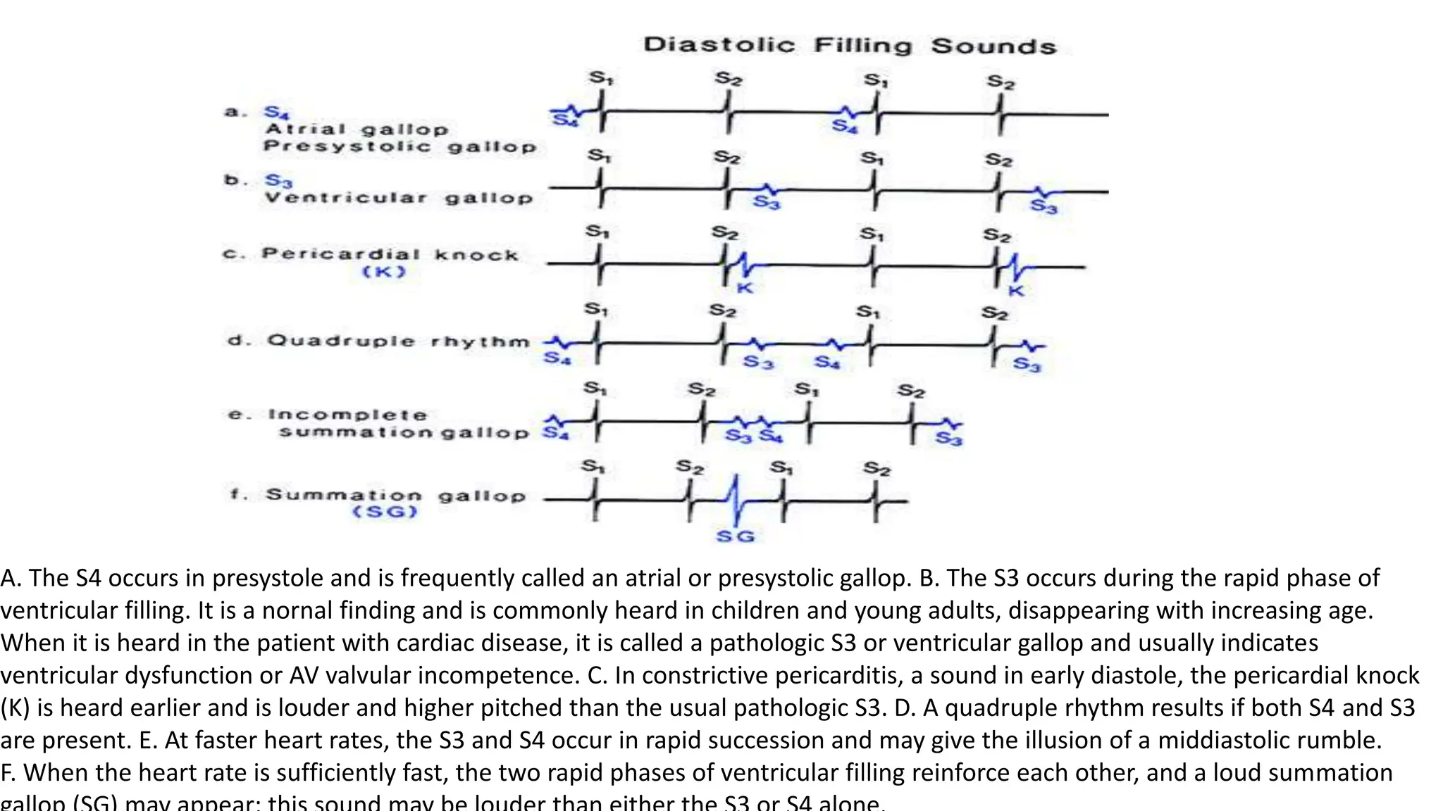 Heart sounds,murmurs & Dynamic auscultation.pptx
