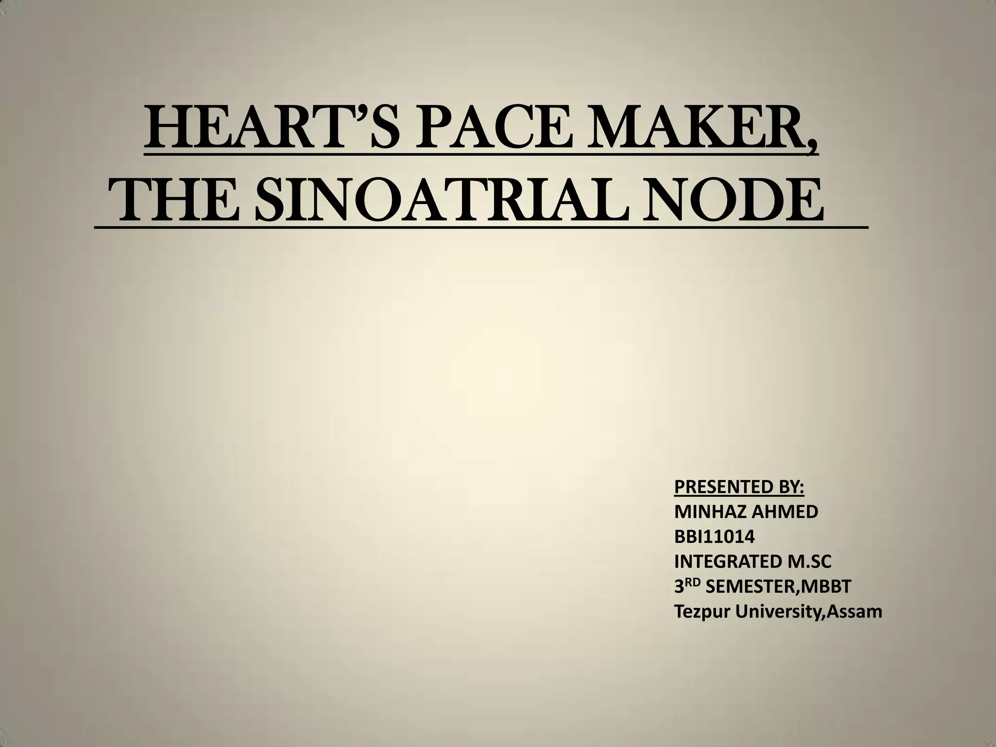 Heart’s pace maker, the sinoatrial node | PPTX