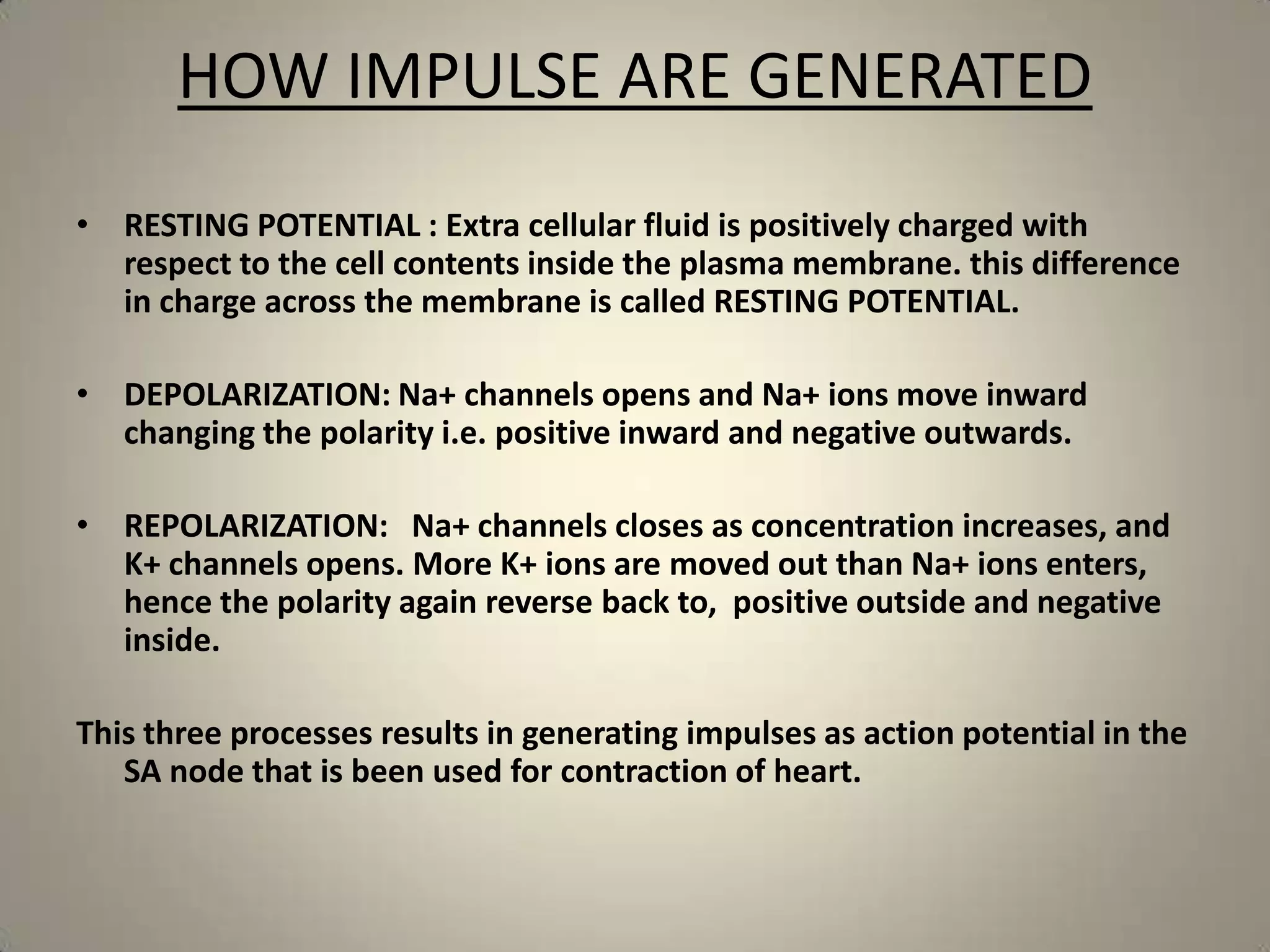 Heart’s pace maker, the sinoatrial node | PPTX