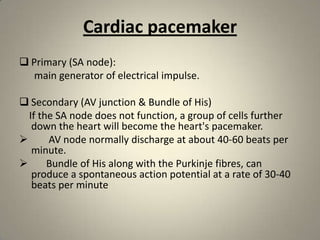 Heart’s pace maker, the sinoatrial node | PPTX
