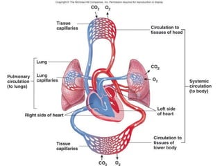 Heart stimulation | PPT