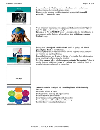 Trauma Informed Mental Health Consultation | PDF