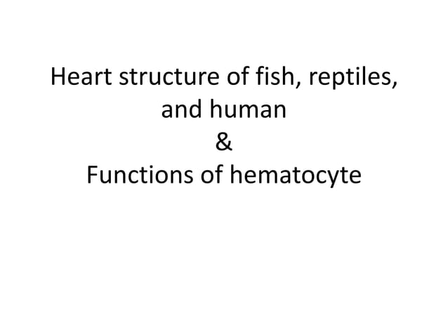Heart structures and functions of hematocyte | PPTX | Heart and ...