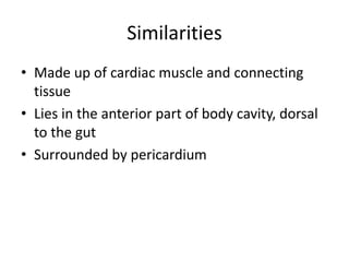 Heart structures and functions of hematocyte | PPTX