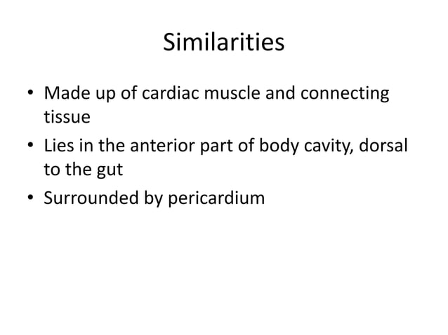 Heart structures and functions of hematocyte | PPTX | Heart and ...