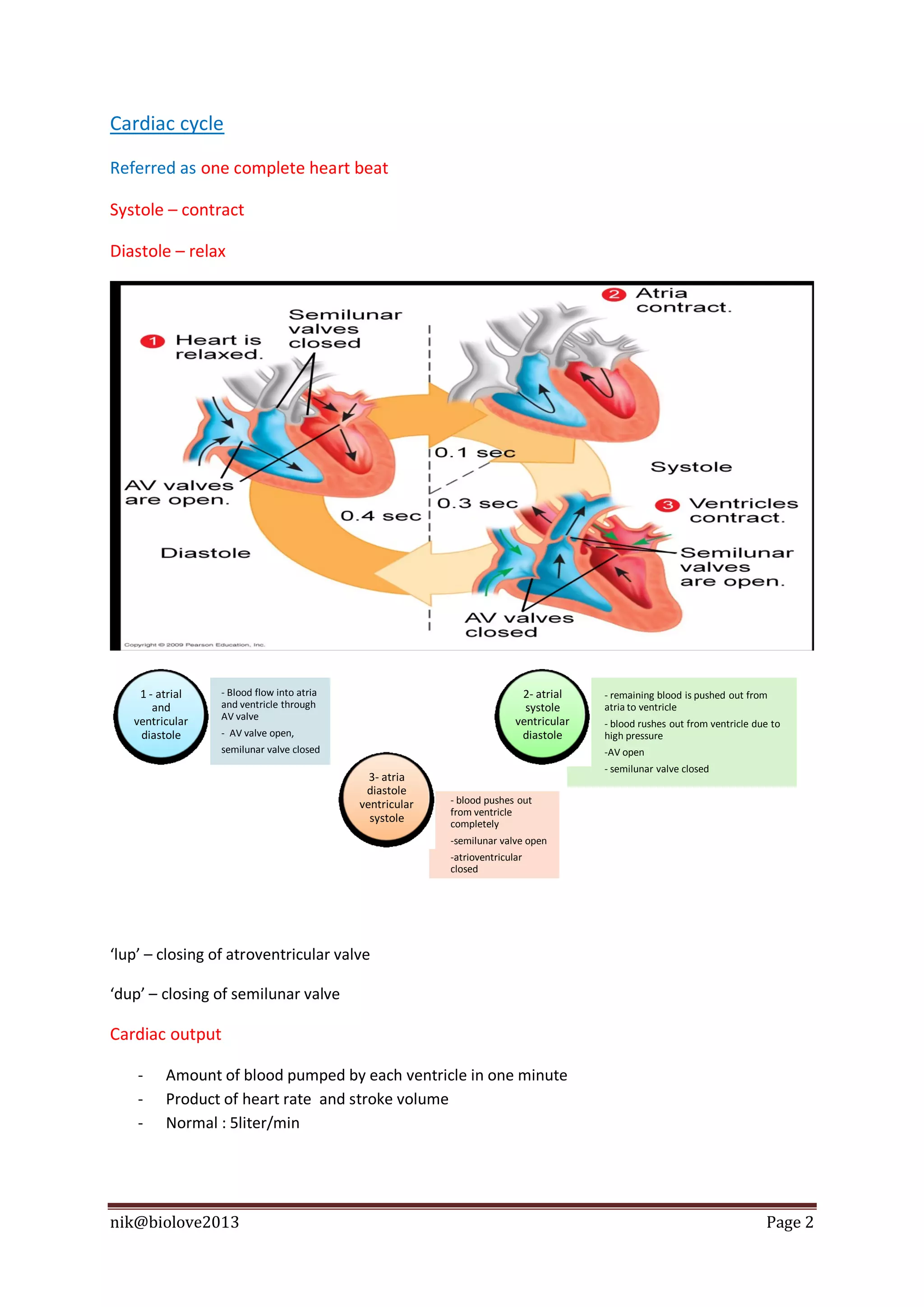 Heart structures | PDF